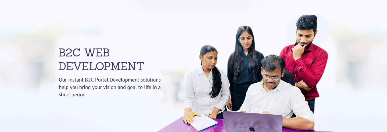 B2C Portal Development Company - Develop B2C With Matebiz